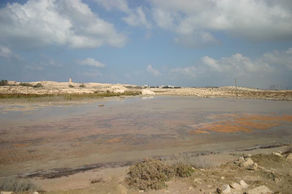 Mission archéologique Française de Taposiris 2007-2010 | Laboratoire HISOMA